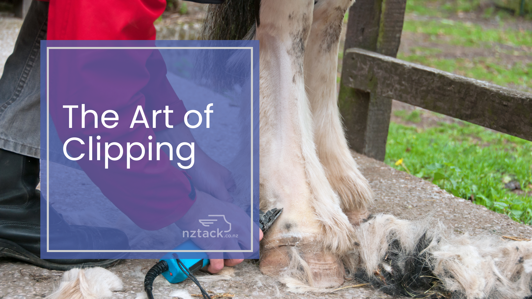 The Art of Clipping – NZ Tack Saddlery Co