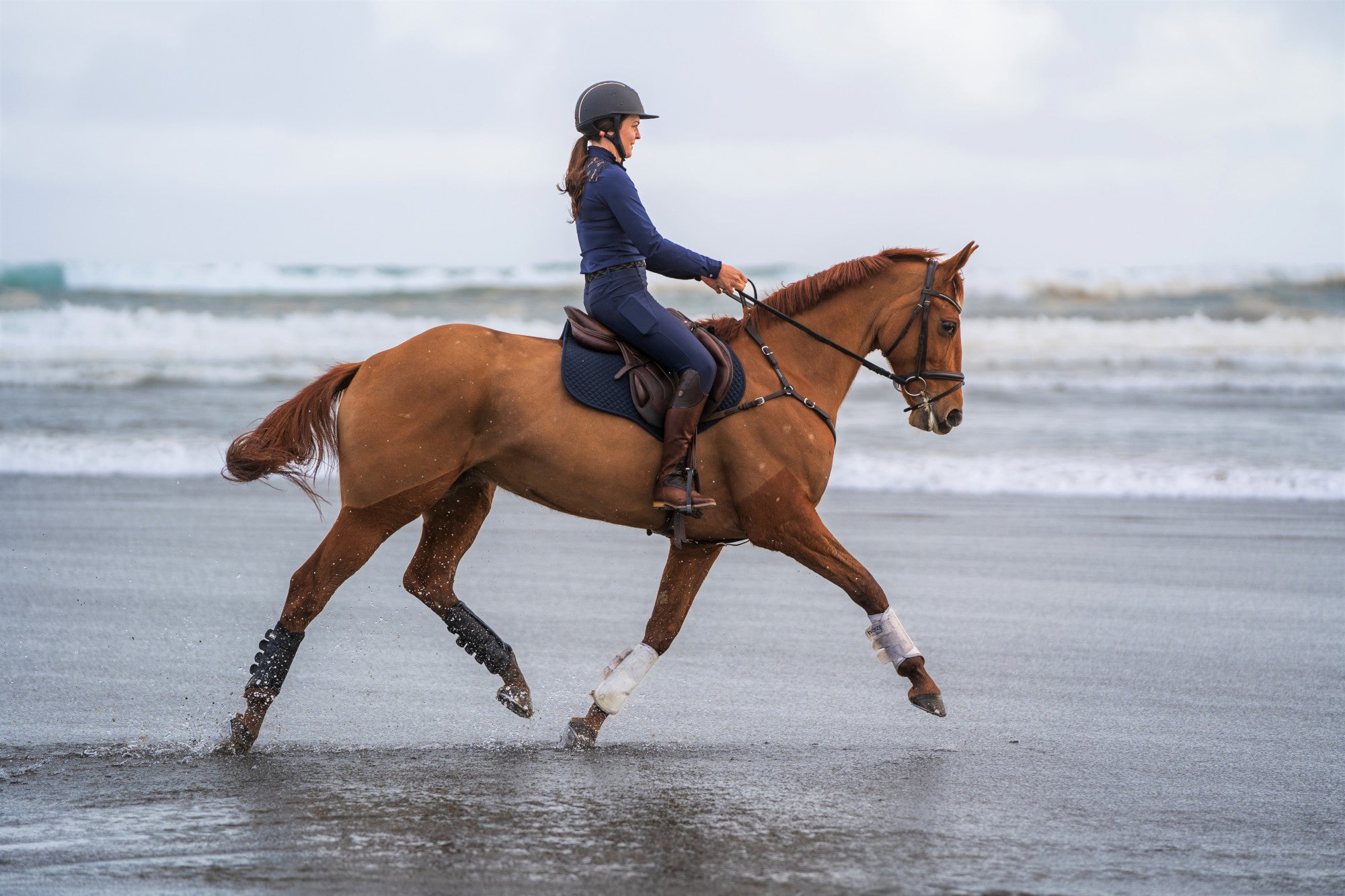 My horse rug routine - @terangihorses shares how she uses horse rugs ...