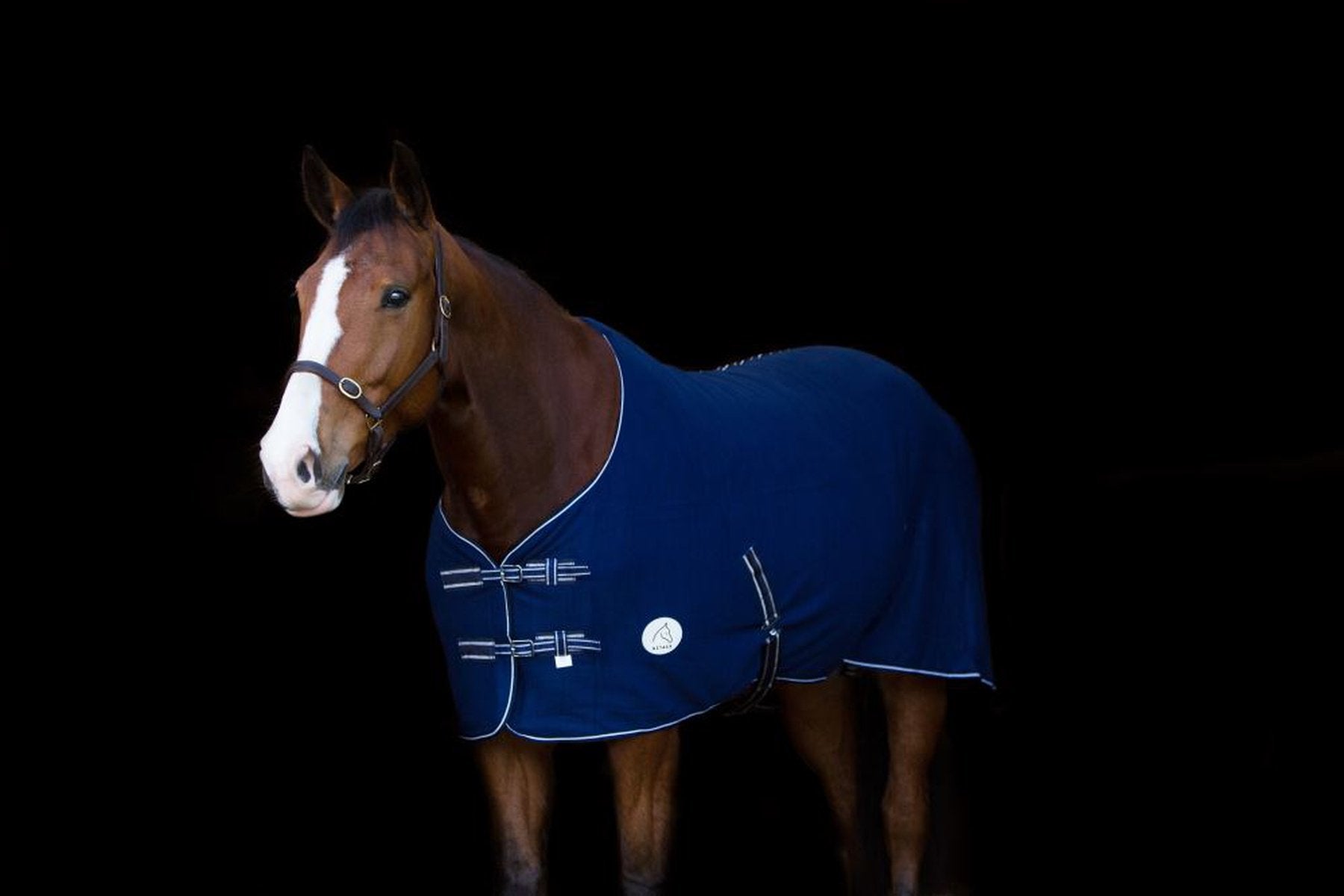 Quality Horse Fleece Rugs, Stable Rugs, Show Rugs & Liners for Horses ...