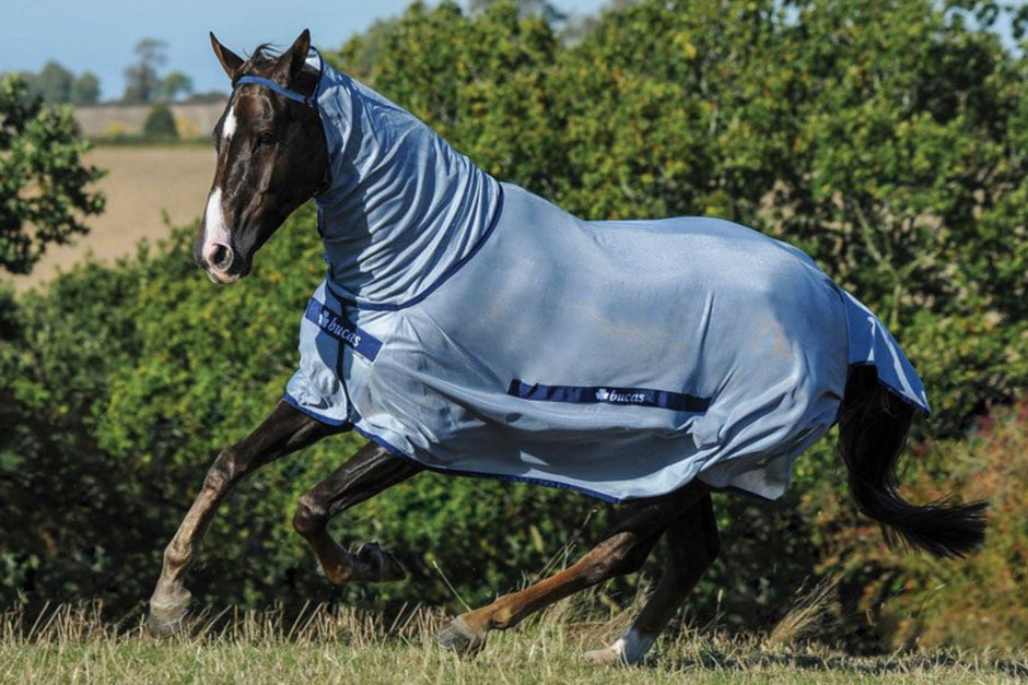 Horse cover sizing chart. Choose the right horse rug size and weight ...