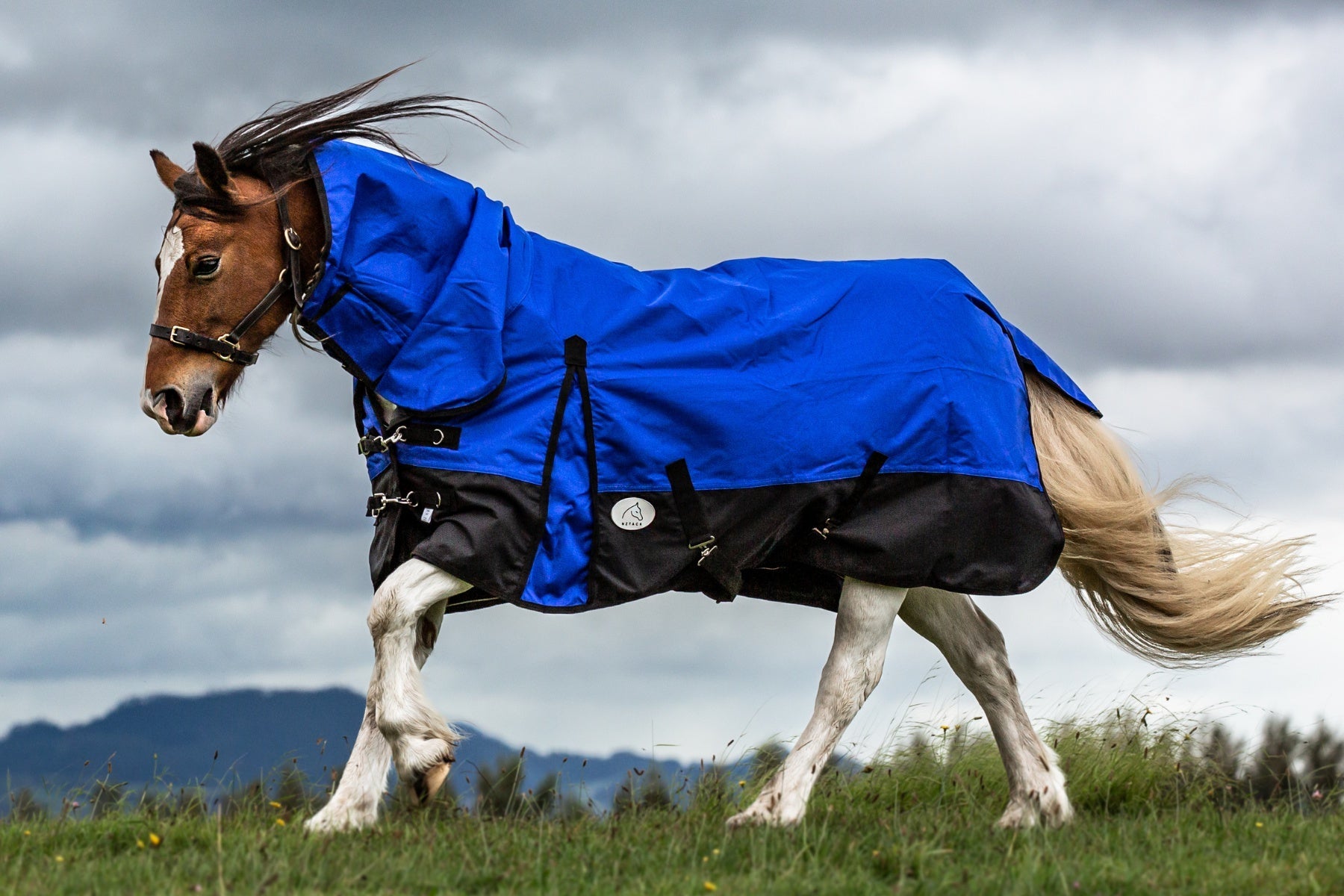 Medium Weight Turnout Rugs for Horses. Waterproof Winter Horse Rugs ...