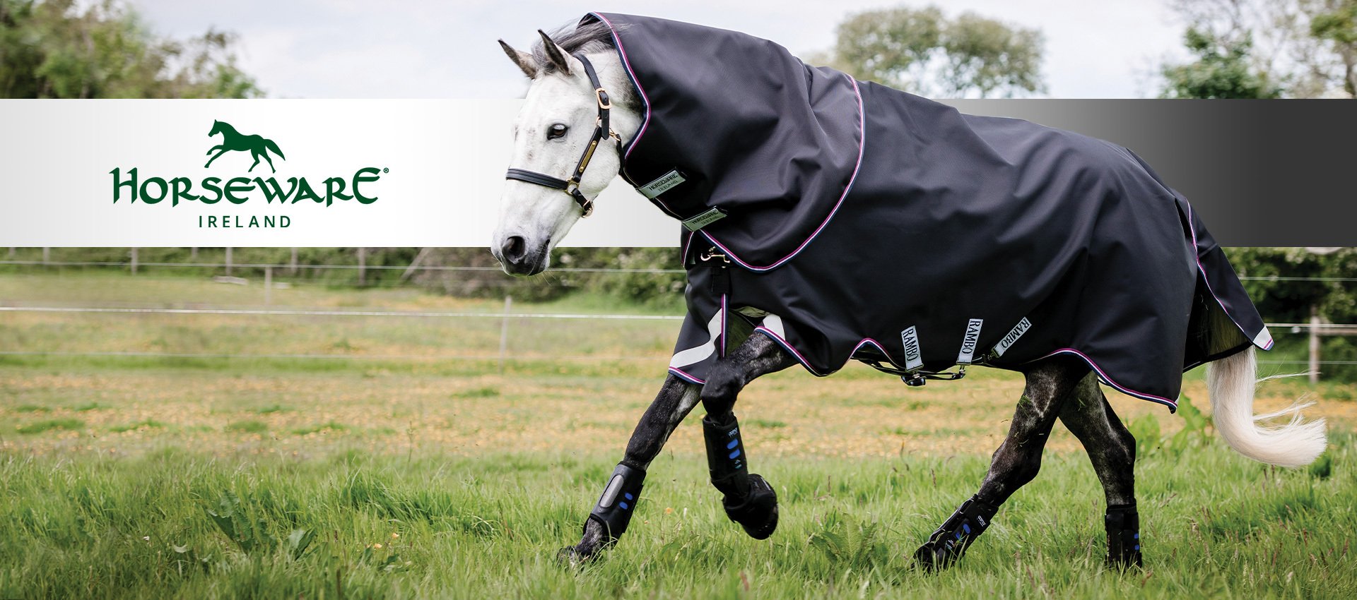 Horseware Ireland Horse Rugs & Equestrian Gear. Amigo Rugs. Rambo Rugs ...
