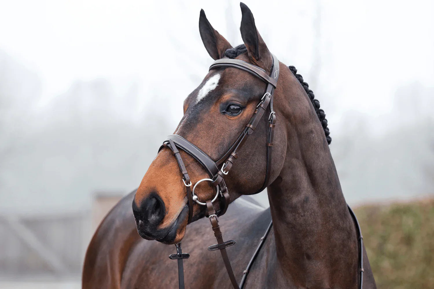 Bridles and Reins. Shop Tack for Horses from Top Bridle Brands – NZ ...