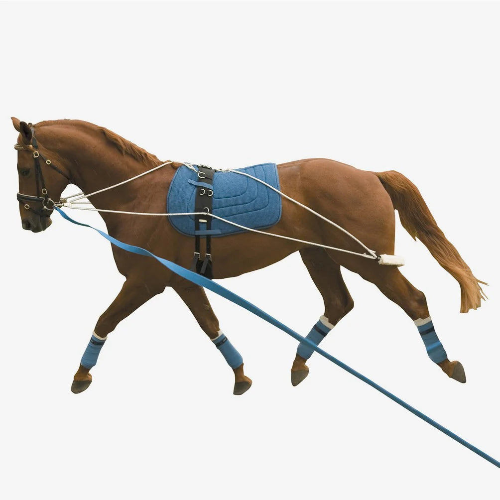 Lunging Equipment – NZ Tack Saddlery Co