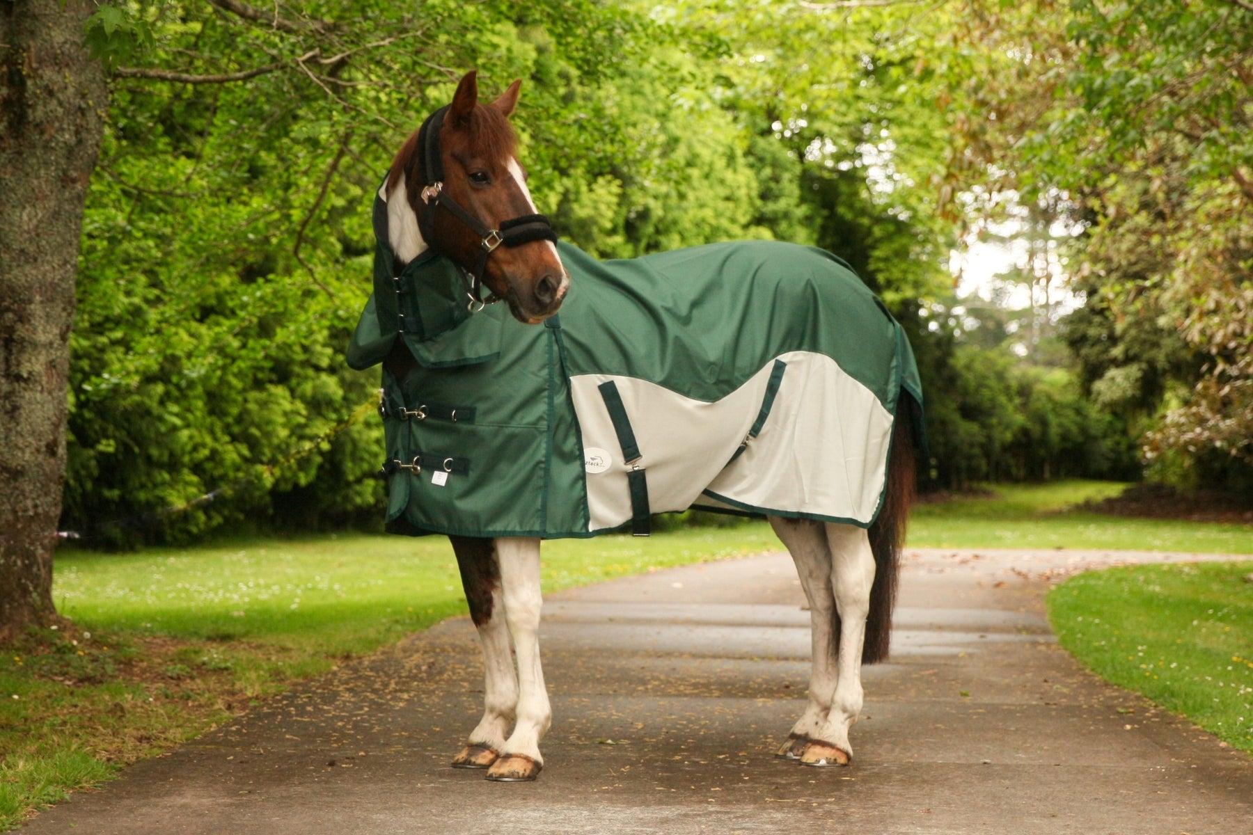 High Quality 'Lite' Turnout Rugs for Horses. Light Fill Horse Rugs ...