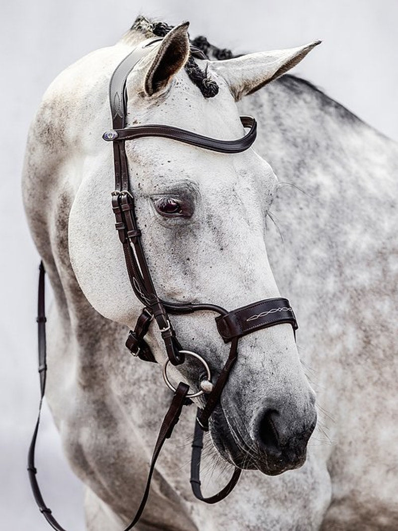 PS of Sweden Bridle High Jump – NZ Tack Saddlery Co