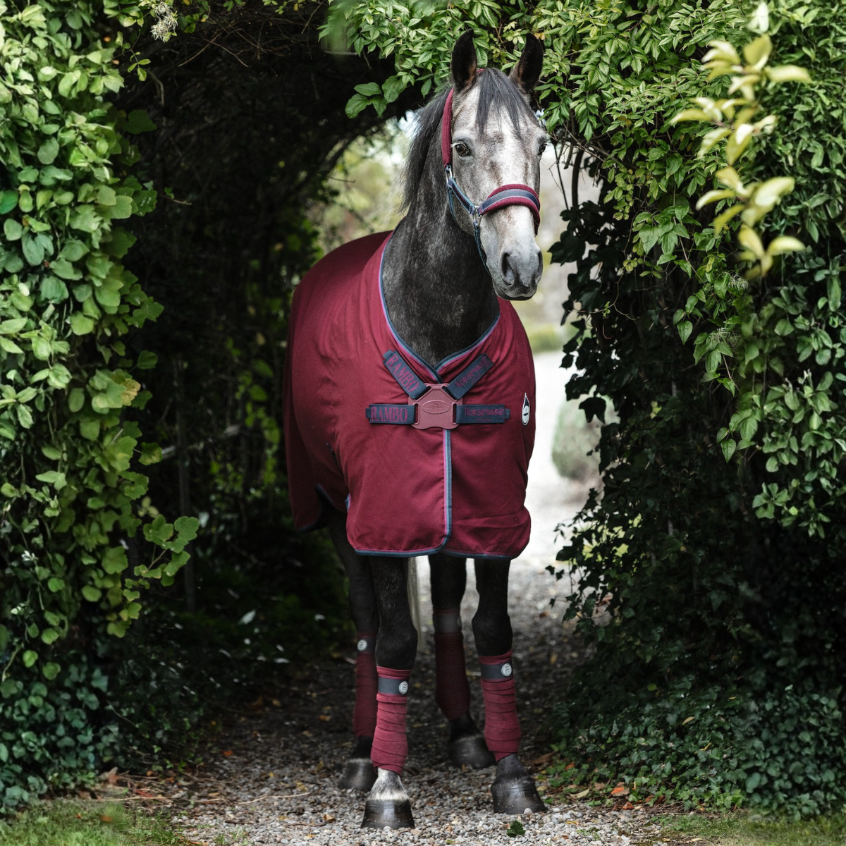 Rambo Helix Stable Sheet DF – NZ Tack Saddlery Co