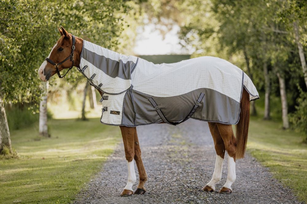 Cavallino Windsor Cool Mesh Combo – NZ Tack Saddlery Co