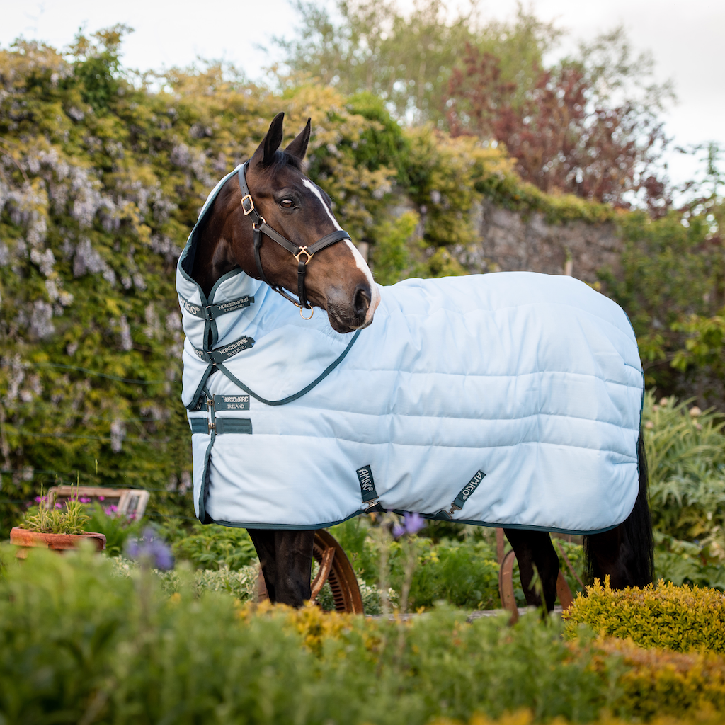 Amigo Stable Plus Plant Dye Deatch-A-Neck – NZ Tack Saddlery Co
