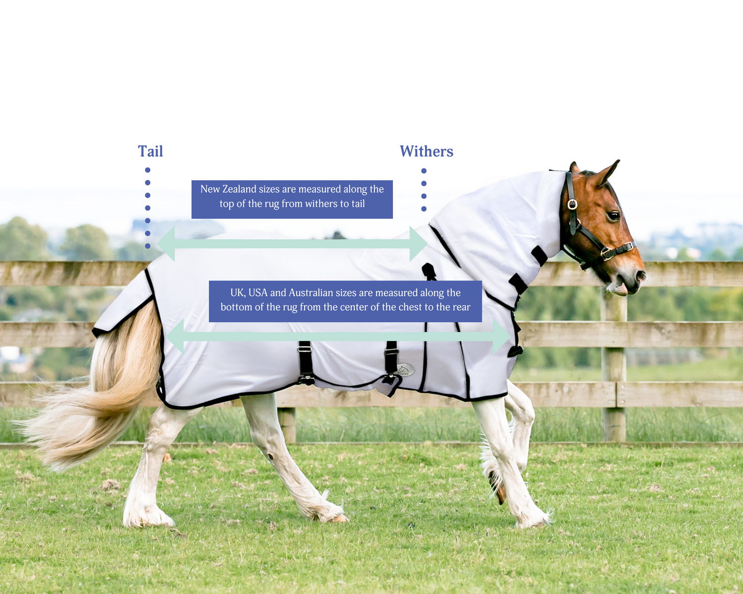 Horse cover sizing chart. Choose the right horse rug size and weight ...