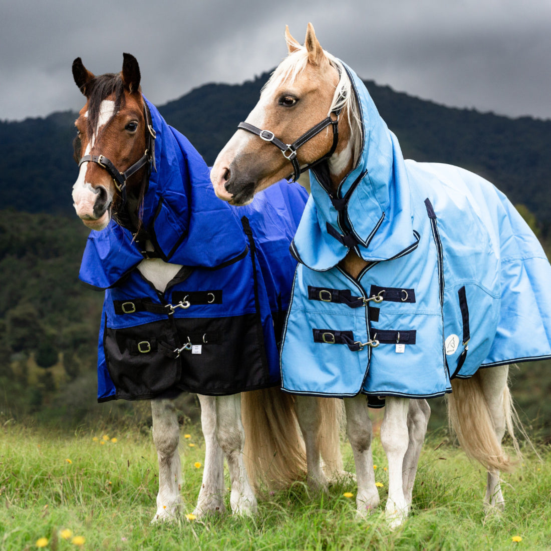 Horse cover sizing chart. Choose the right horse rug size and weight ...