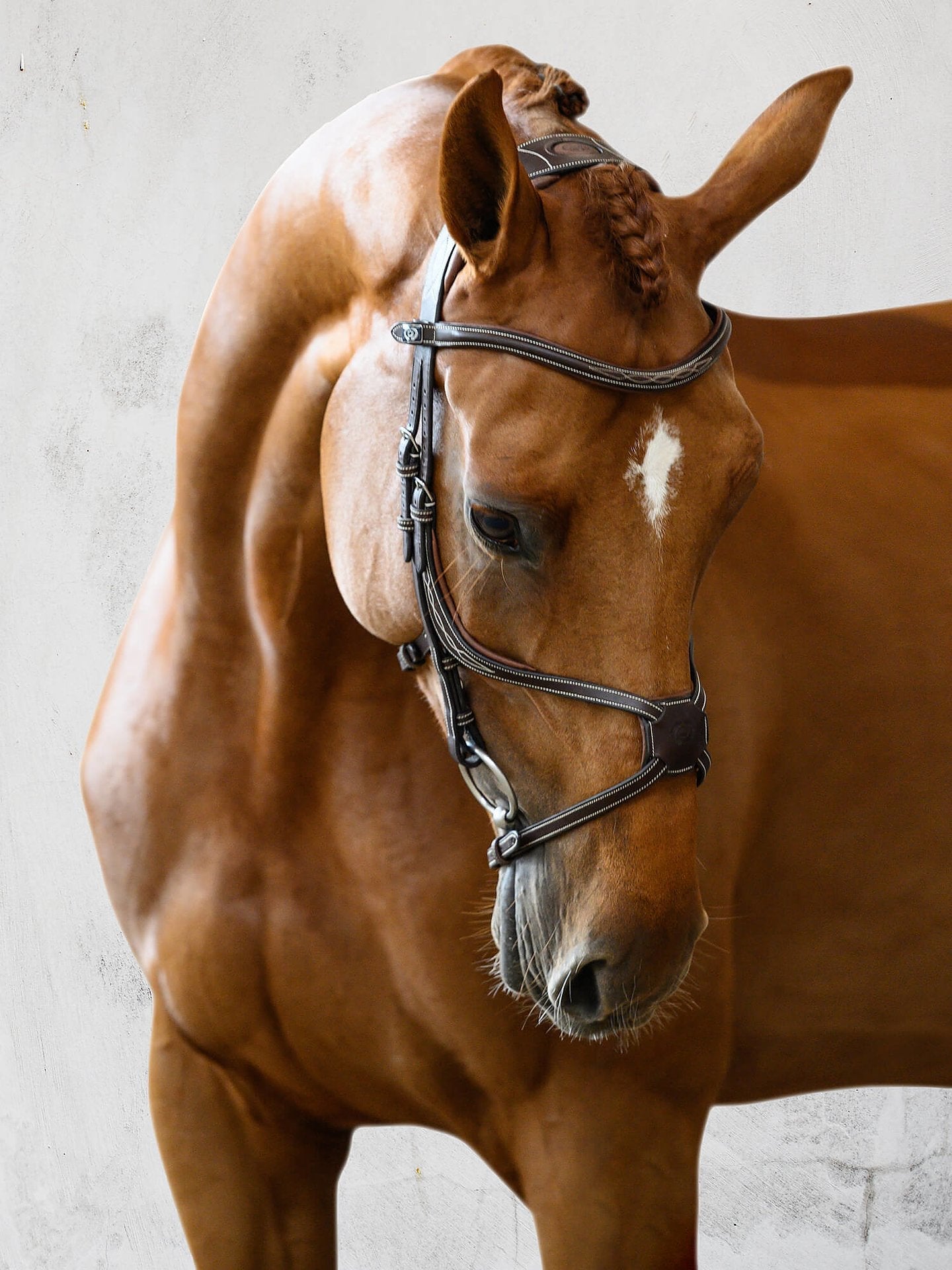 PS of Sweden Bridle Athens – NZ Tack Saddlery Co