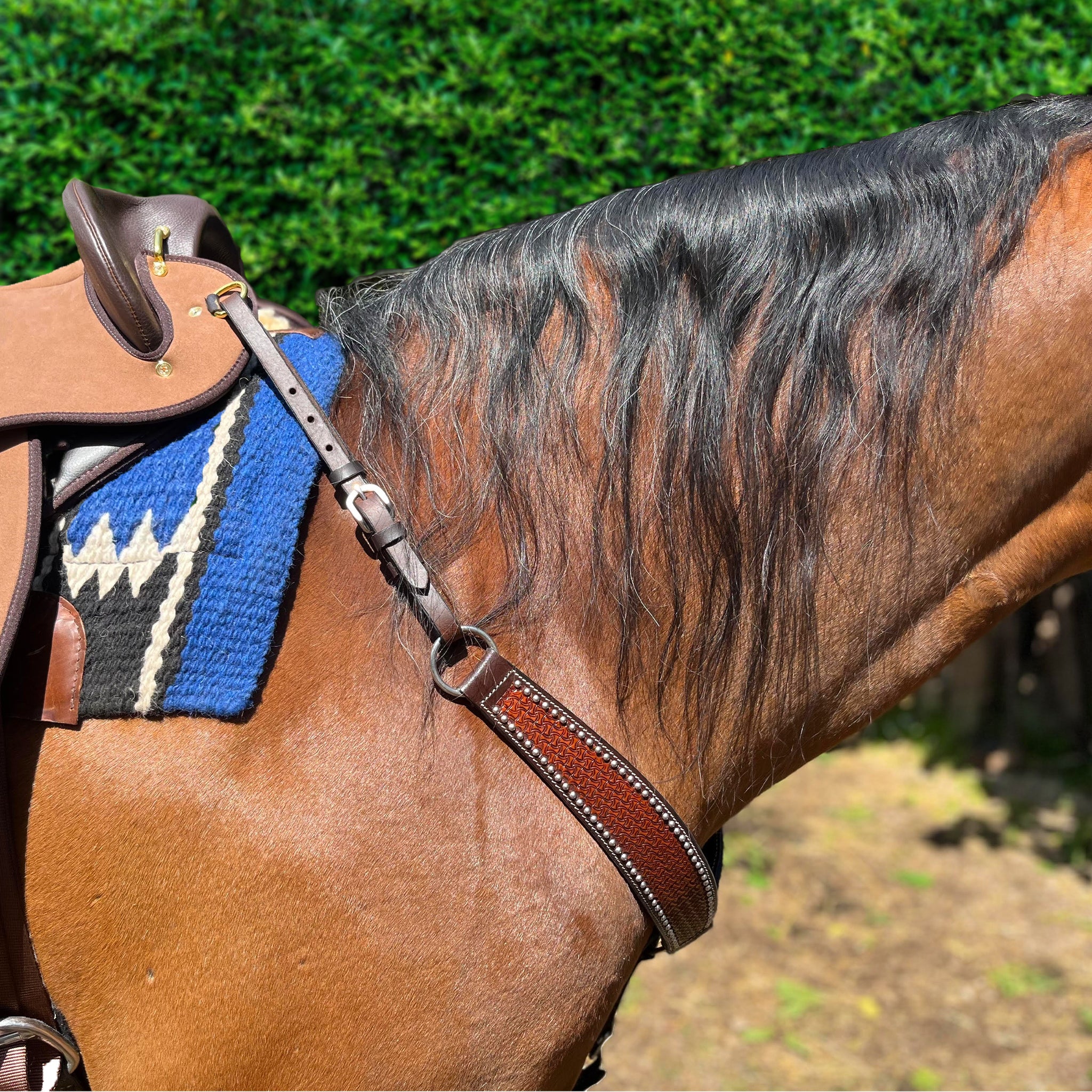 Ezy Ride Breastplate Shaped with Dots and Stamping – NZ Tack Saddlery Co
