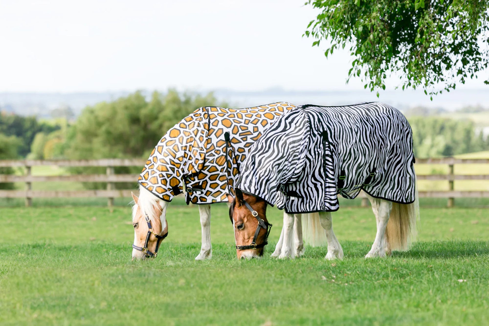 Horse cover sizing chart. Choose the right horse rug size and weight ...